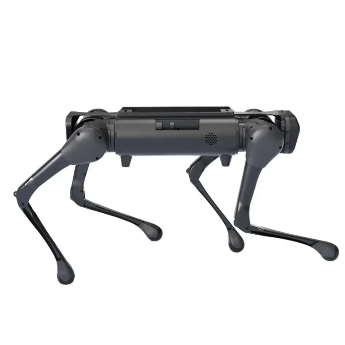 Buy Unitree Aliengo in Poland | Robot dog: price and specifications