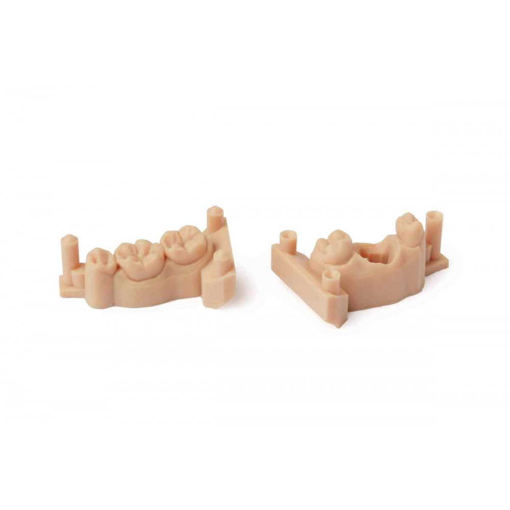 Model Resin Formlabs for modeling and dentistry